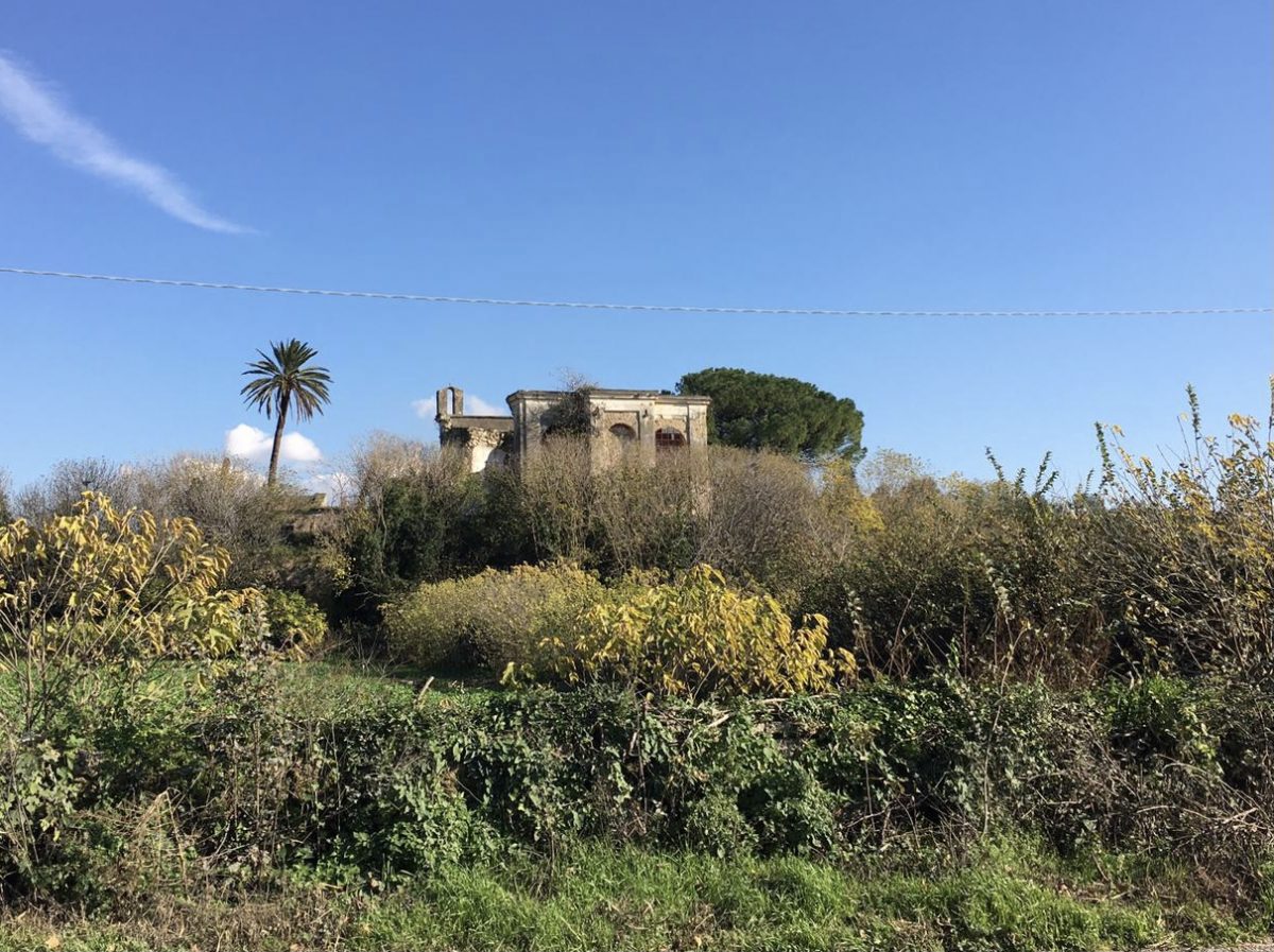 L’Acerra che non ti aspetti tra sorgenti, boschi e archeologia - Premio ...